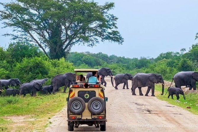Yala National Park Private Safari (All Inclusive) From Mirissa - Itinerary Breakdown: How the Day Unfolds