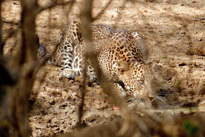 Yala National Park Private Safari - Authentic Perspectives from Travelers
