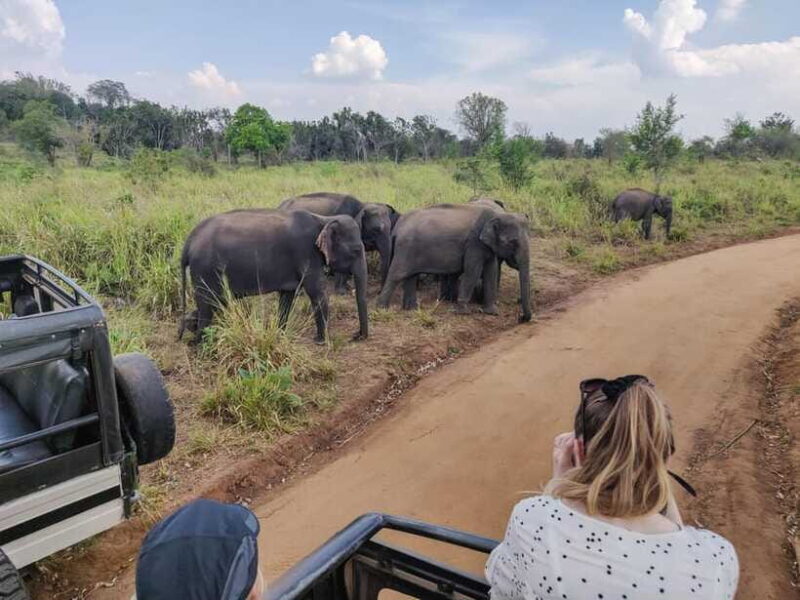 Yala National Park Private Safari from Ella - FAQ