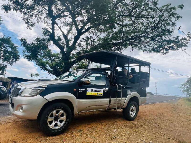 Yala National Park Safari Adventure(Half Day tour) 5 Hour - FAQ