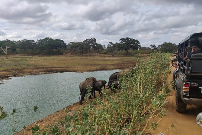 Yala National Park Safari from Koggala - An Introduction to the Yala National Park Safari