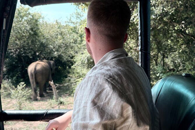 Yala National Park Safari FULLDAY and HALFDAY Expert Guided Tour - The Experience in Detail