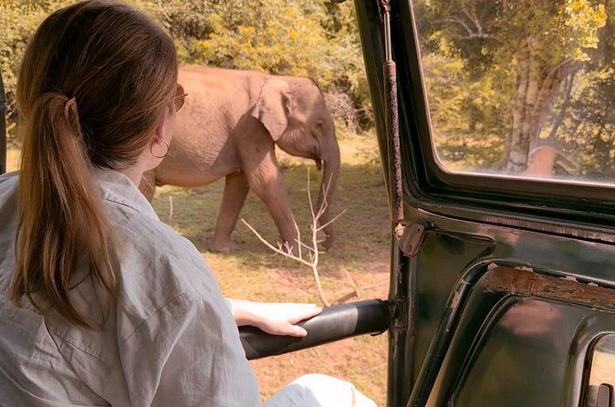 Yala National Park Safari FULLDAY and HALFDAY Expert Guided Tour - Final Thoughts: Is It Worth It?