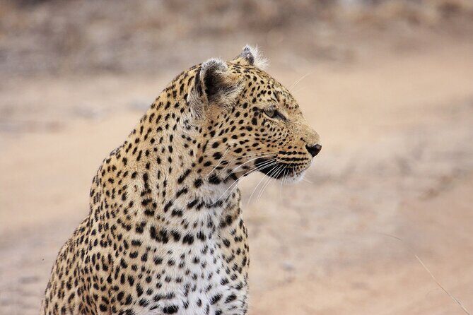 Yala National Park Safari Tours -Half Day & Full Day - Final Thoughts