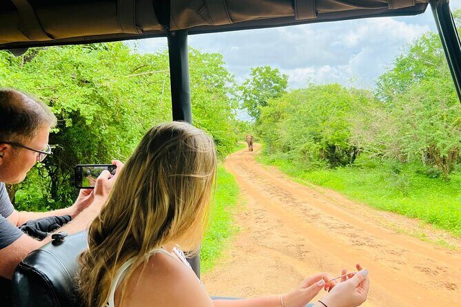 Yala National Park Safari Tours - Half Day & Full Day - The Sum Up