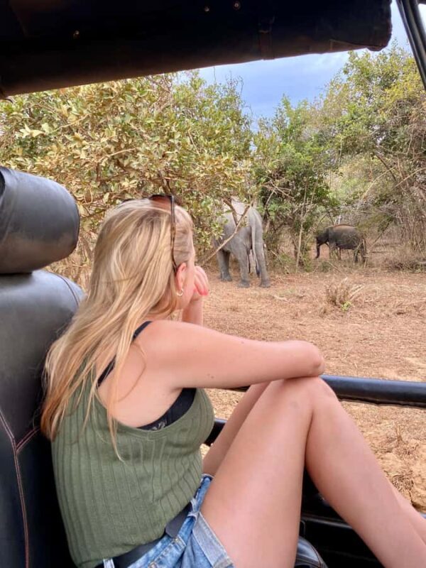 Yala National Park Safari Tours : Morning/Evening & Full-Day - Key Points