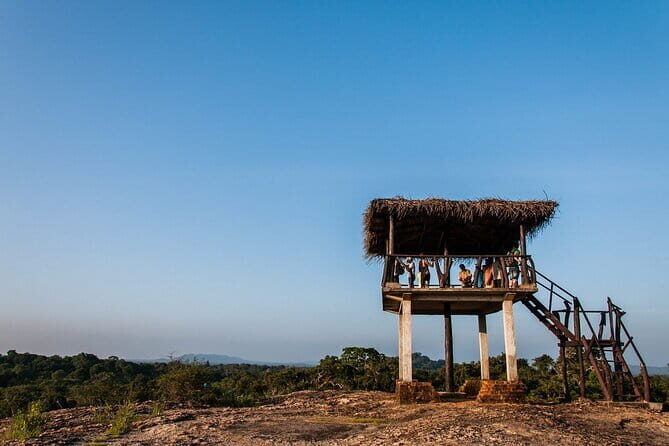 Yala National Park Shared Safari | From Hambantota Port - Final Summary: Is This Safari Worth It?