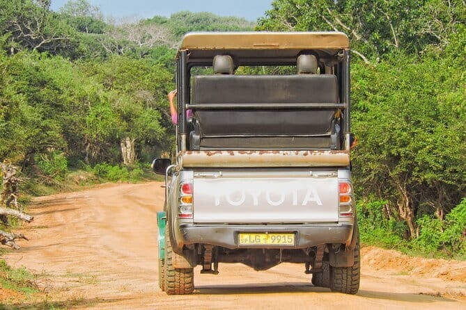 Yala National Park special Half-Day & Full-Day Safari Adventure - Transportation, Group Size, and Overall Value