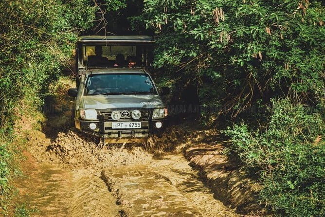 Yala National Park special Half-Day & Full-Day Safari Adventure - Authentic Experiences in Yala