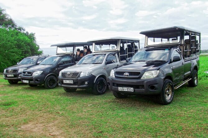 Yala National Park Tour from Hambantota Port Janaka Safari - Key Points