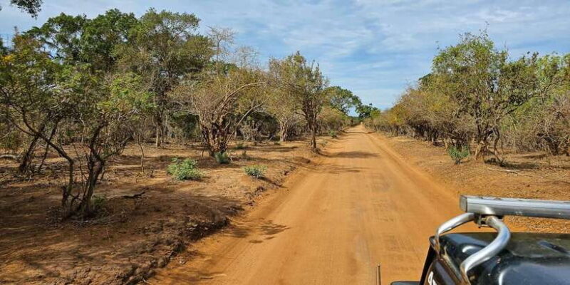 Yala National Park Wildlife safari from Galle - Key Points