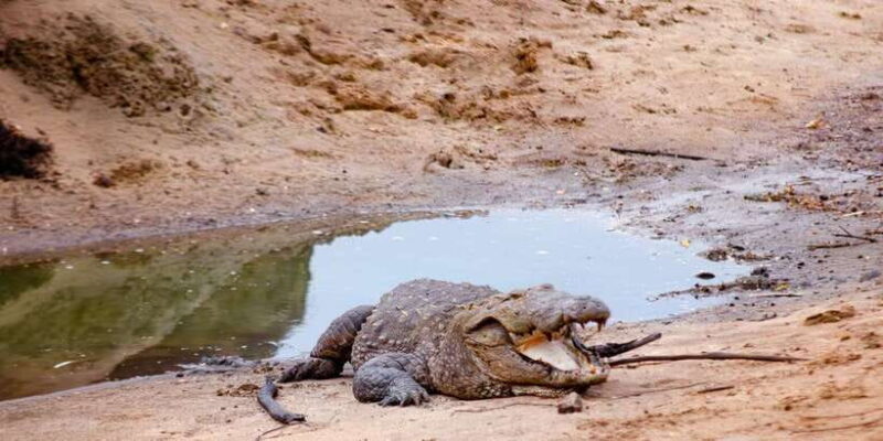 Yala National Park Wildlife safari from Galle - Final Verdict