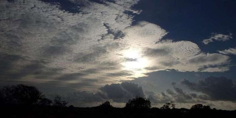 Yala: Night Drive in Yala National Park Buffer Zone! - Key Points