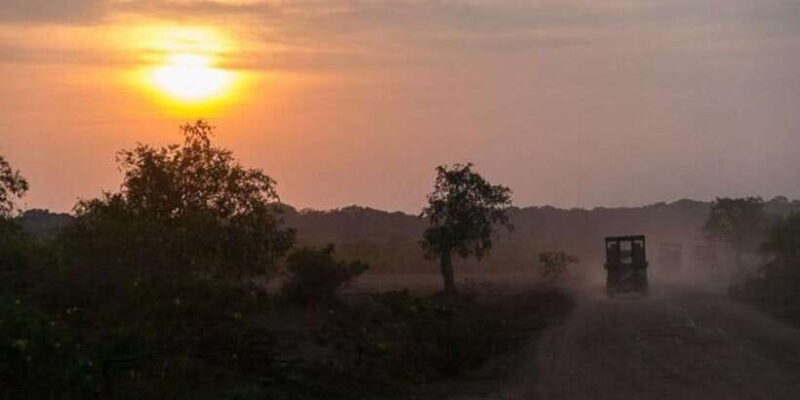 Yala: Night Drive in Yala National Park Buffer Zone! - What Travelers Say