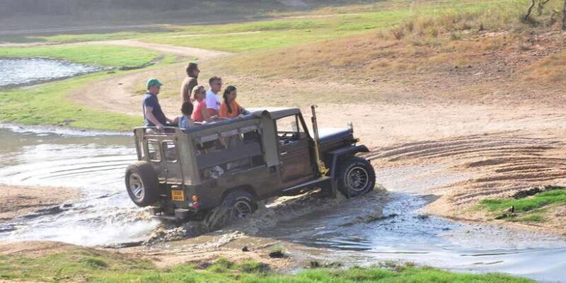 Yala Private Safari: Half-Day or Full-Day with Picnic Lunch - An Authentic Look at the Yala Private Safari
