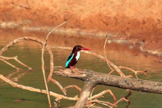 Yala Safari by Yala Safari Wonders - The Sum Up