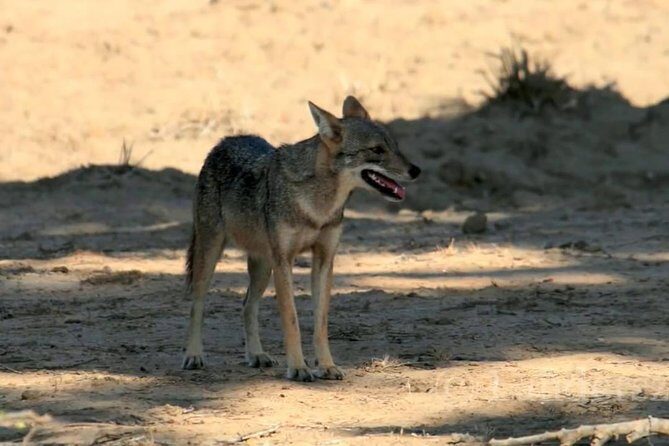 Yala Safari by Yala Safari Wonders - FAQ