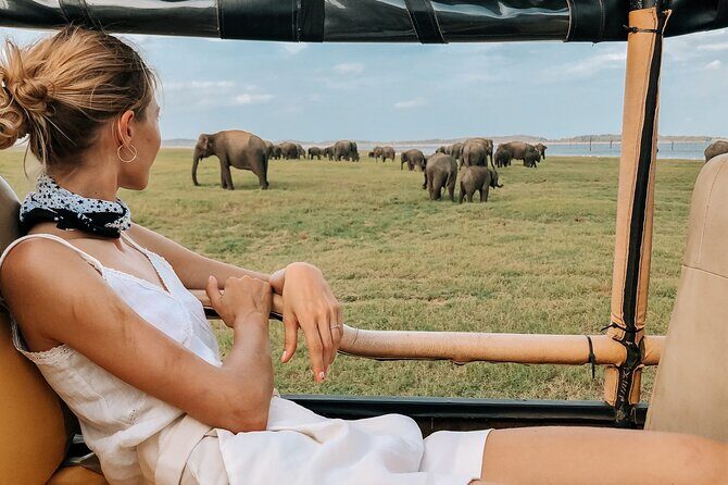 Yala Safari Day Trip from Mirissa/Weligama/Galle/Tangalle areas - FAQ