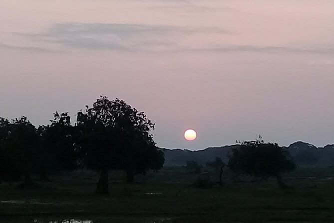 Yala Safari From Kaluthara - Bantota - ahaungalla -Hikkaduwa - And Surround - Detailed Itinerary Breakdown