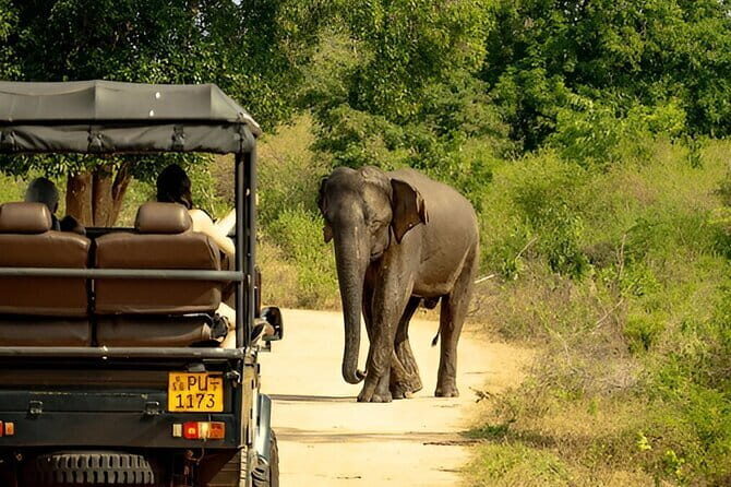 YALA SAFARI TOUR from Galle/Unawatuna/Mirissa/Tangalle/Ella - FAQ