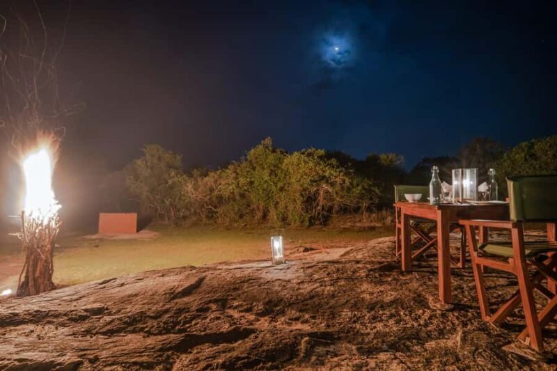 Yala: Stargazing Jungle BBQ Night - The Experience in Detail