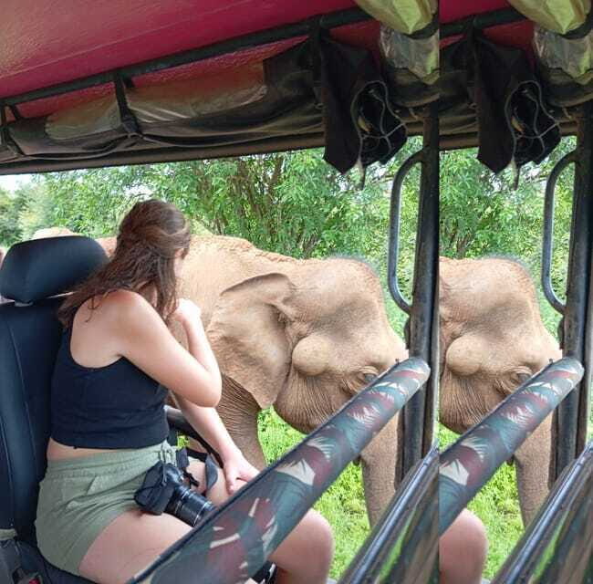 Yala, Udawalawe Safari & Elephant Home Lifetime Experience - Yala, Udawalawe Safari & Elephant Home Lifetime Experience: A Practical Guide