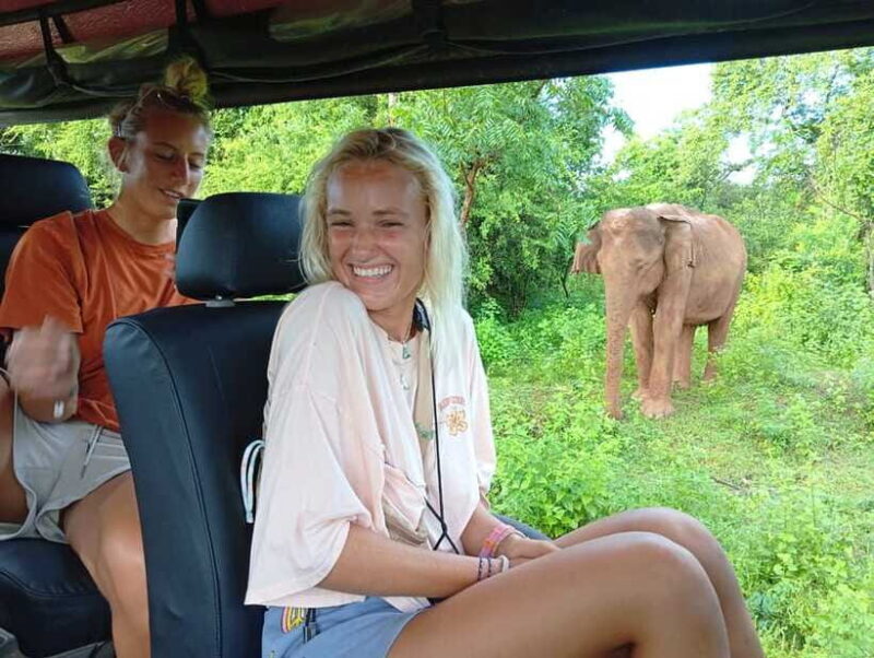 Yala, Udawalawe Safari & Elephant Home Lifetime Experience - Who Will Love This Tour?