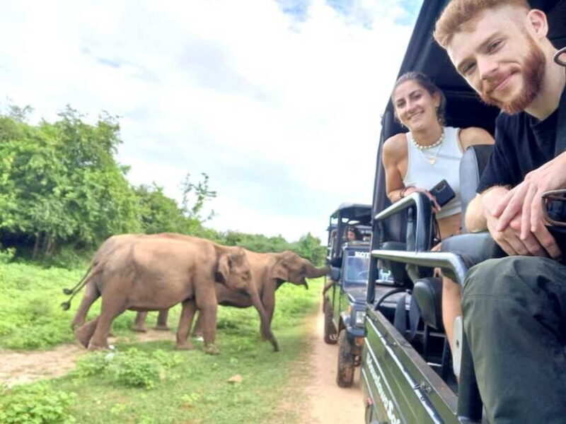 Yala, Udawalawe Safari & Elephant Home Lifetime Experience - Final Thoughts: Why You Should Consider This Tour