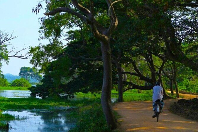 Yala Village Life Experience: Tuk-Tuk Tour, Local Crafts & Tea - The Sum Up: Why Choose the Yala Village Life Experience?