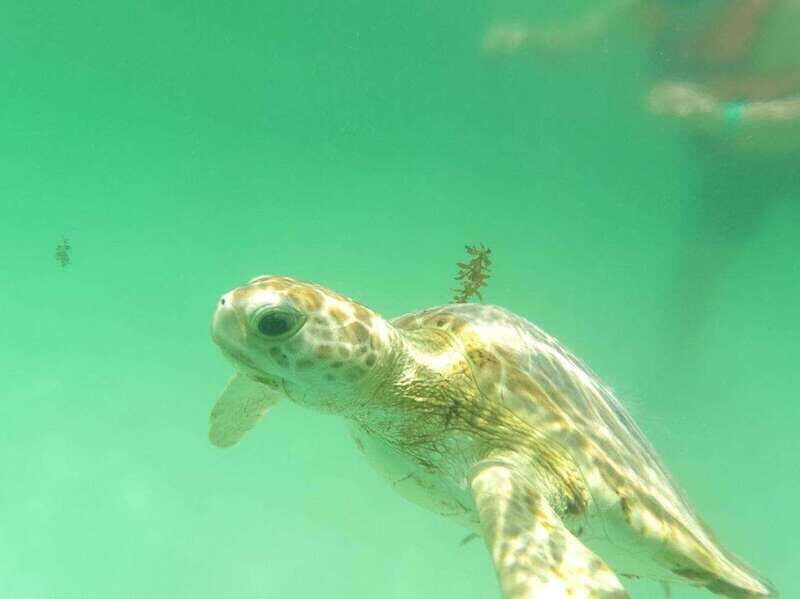 Yalku :Akumal snorkeling Muuch Kay Ecopark - What to Expect From Muuch Kay Ecopark