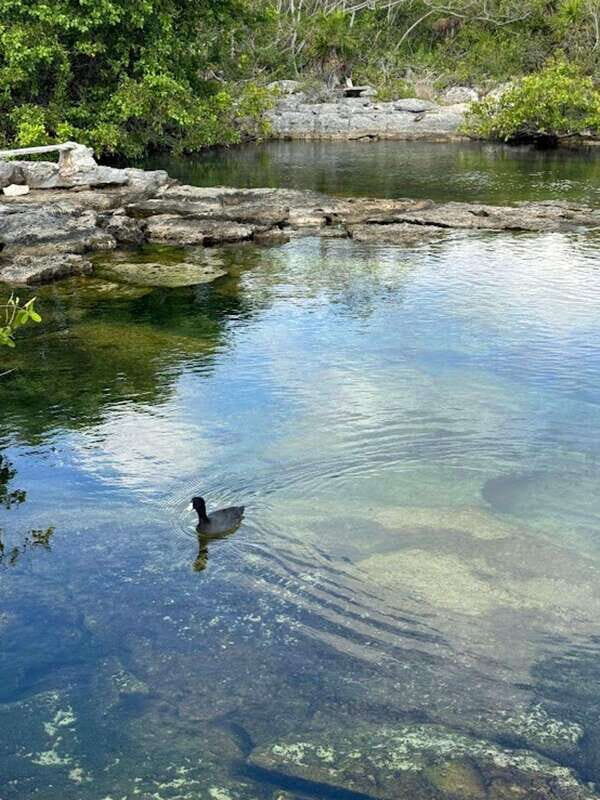 Yalku :Akumal snorkeling Muuch Kay Ecopark - Authenticity and the Experience of Nature