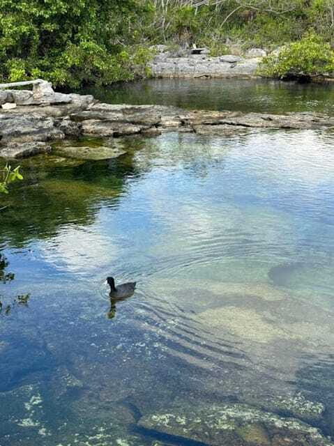 Yalku :Akumal snorkeling Muuch Kay Ecopark - Frequently Asked Questions