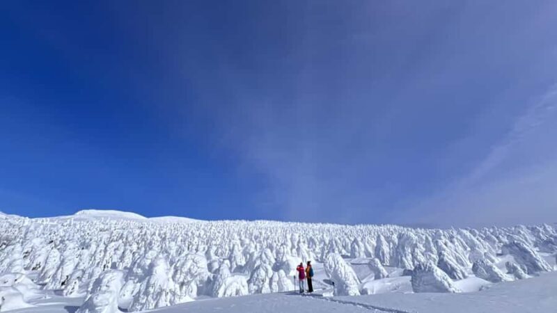 Yamagata: Ice Monster Snow Hiking with Local Guide - Key Points