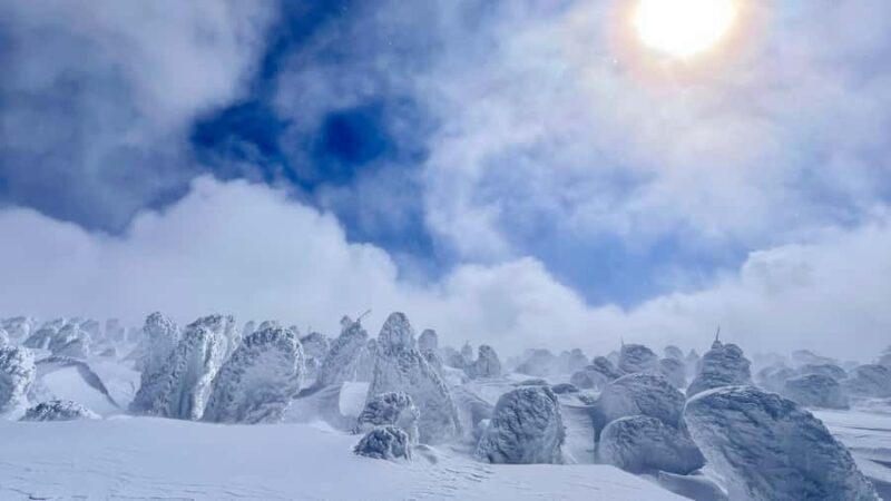 Yamagata: Ice Monster Snow Hiking with Local Guide - Why the Ice Monst ers of Zao Are Truly Unique