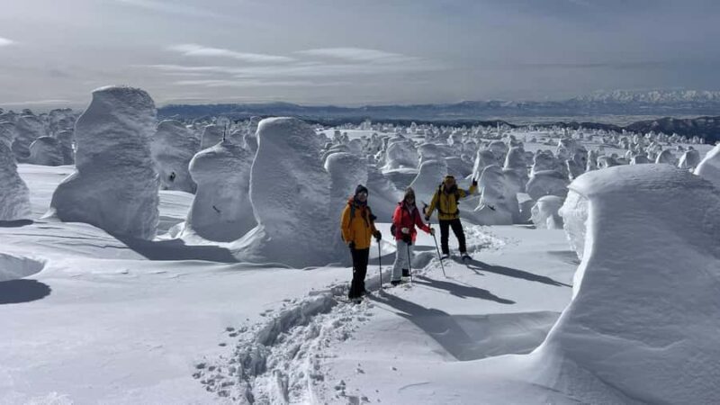 Yamagata: Ice Monster Snow Hiking with Local Guide - Who Will Love This Tour?