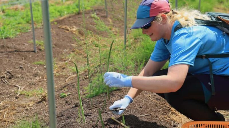 Yamagata, Japan: Yamagata Ramen Farm to Table E-Bike Tour - The Sum Up: Who Will Love This Tour?
