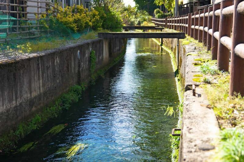 Yamagata: Okitama Cultural E-Bike Tour with Lunch - Key Points