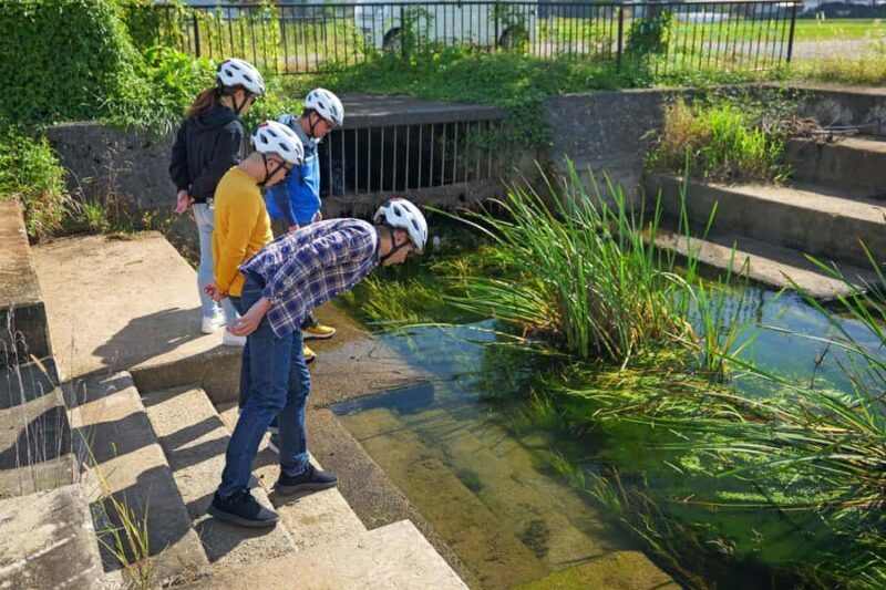 Yamagata: Okitama Cultural E-Bike Tour with Lunch - Who Will Appreciate This Tour?