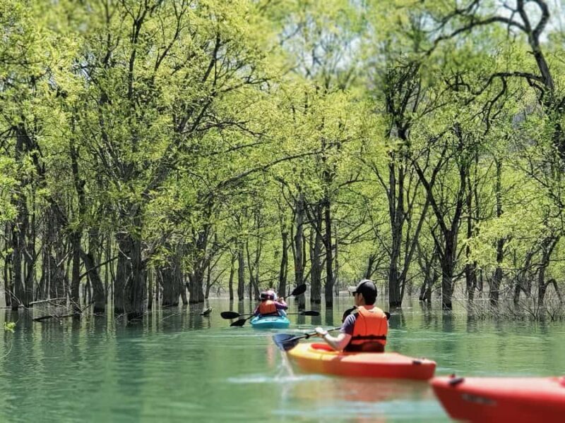 Yamagata: Private Canoe Tour in Submerged Forest - The Experience in Detail
