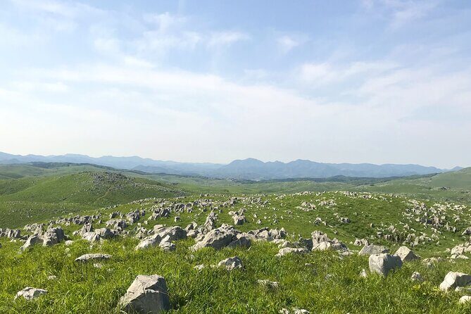 Yamaguchi 4 Highlights & Karato Market 1Day Tour from Fukuoka - Final Thoughts