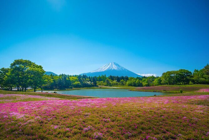 Yamanashi beyond Mt.Fuji - Key Points