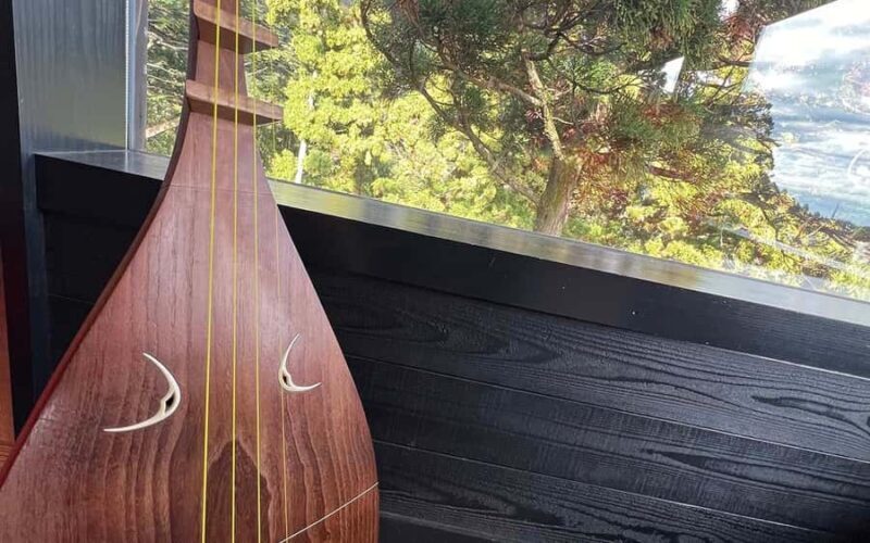 Yamato: Satsuma Biwa Music Playing Experience - Key Points