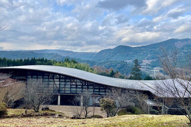 Yame Tea and Japanese Sake Tour Fukuoka Private Tour - The Lunch Experience: A Feast of Local Flavors