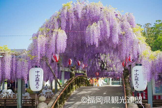 Yanagawa Great Wisteria and Traditional Canal Boat Experience - Final Thoughts