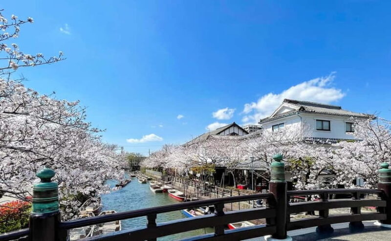 Yanagawa: Original Boat Tour - Final Thoughts: Is It Worth It?