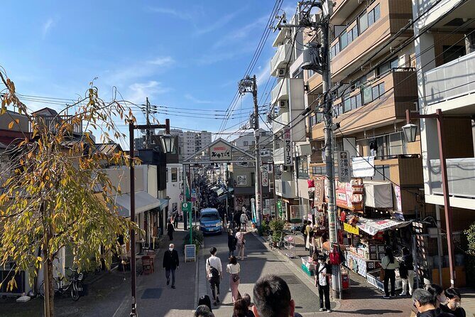Yanaka and Asakusa Walk around DOWNTOWN TOKYO like a local - Practical Tips for Travelers