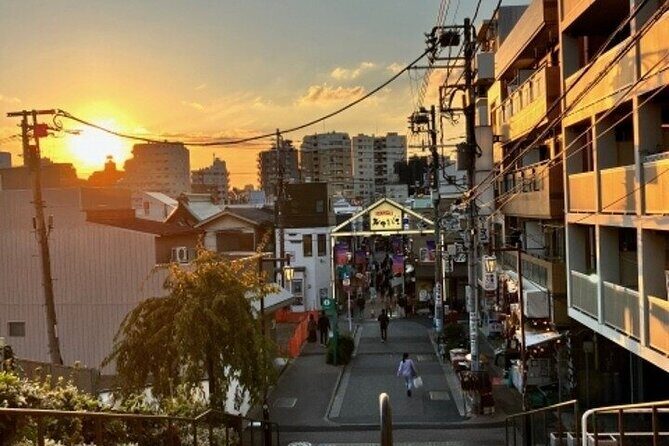 Yanaka and Nezu Walking Tour Discover the Edo Spirit - Authentic Experiences You May Not Expect