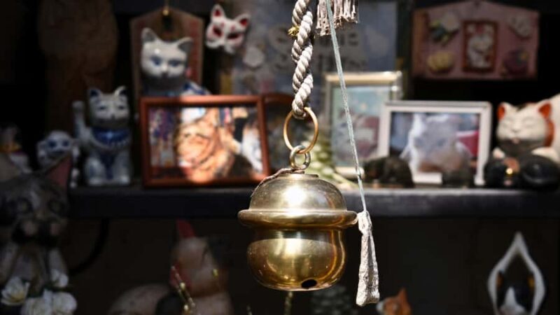 Yanaka & Ueno: Walking Tour of Tokyo Tradition & Culture - Transition to Yanaka: Stepping Back in Time