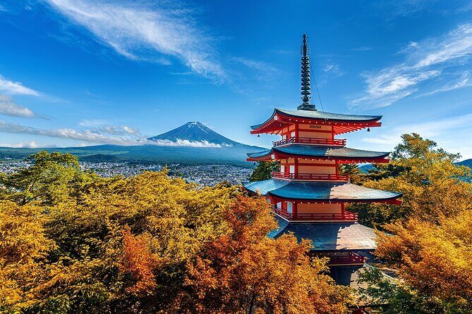 Yanaka - Unique Historical Walking Tour in Tokyo's Old Town - Who Should Consider This Tour?
