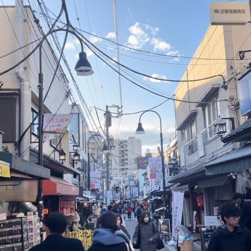 Yanaka's Hidden Flavors: Tokyo's Historic Gourmet District - Key Points